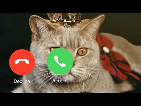 Ringtone|Message ringtone|notification ringtone|Hindi Ringtone| New Ringtone | -16 #ringtone