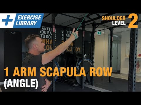 S2 | 1 Arm Scapula Row (Angle) - YouTube