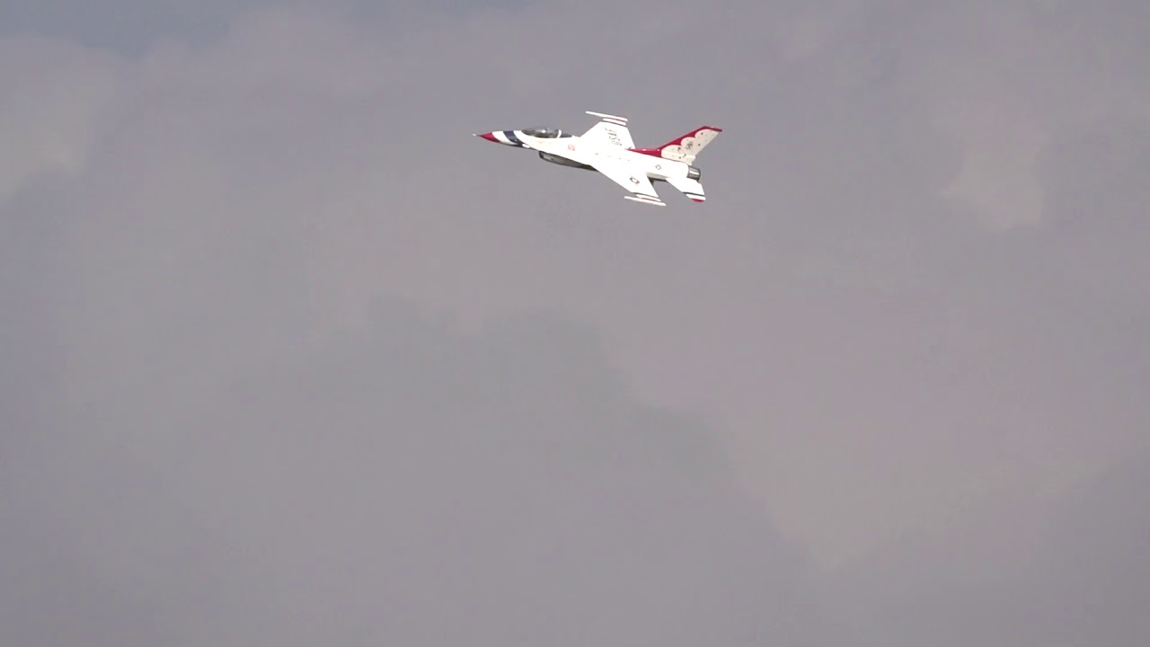 Elad Fish - YouTube