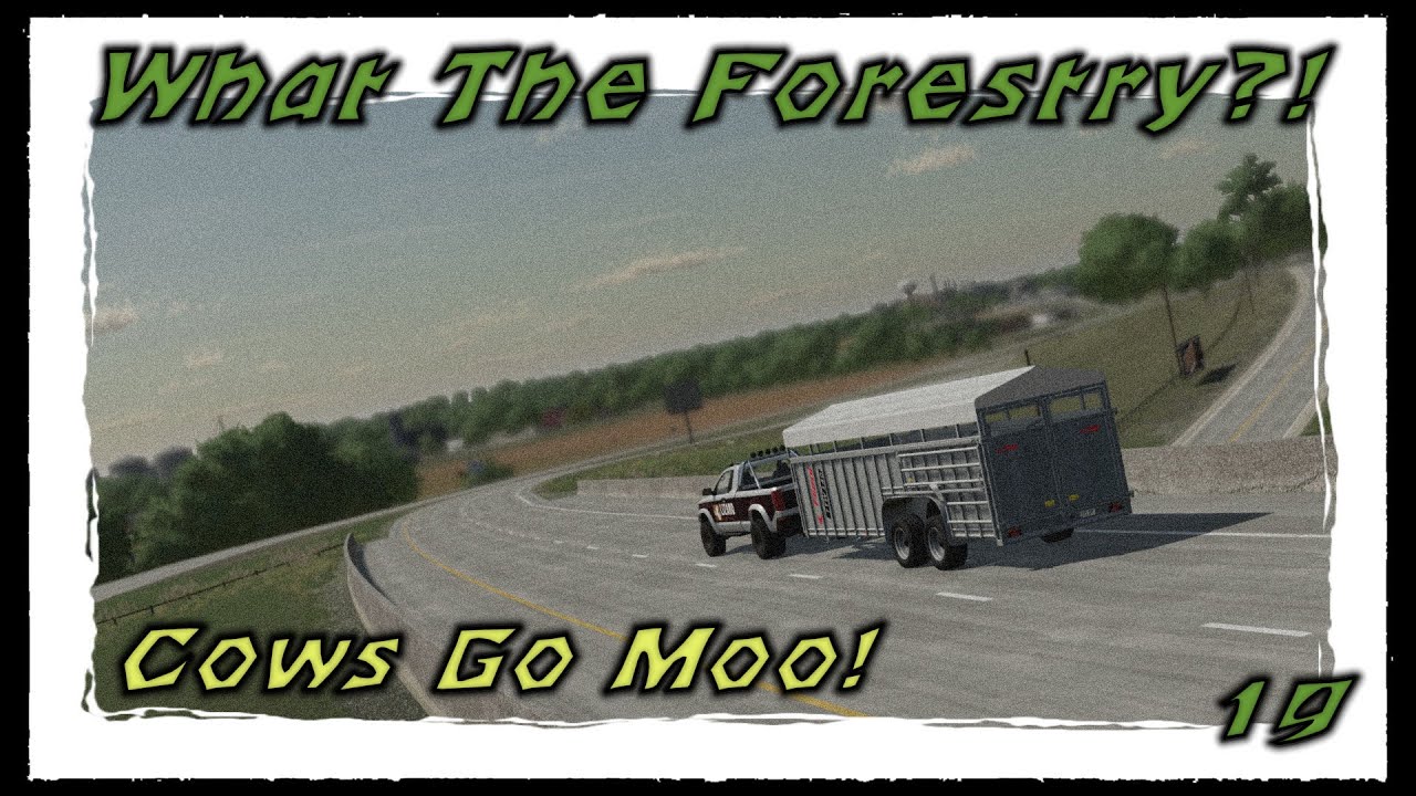 "Cows Go Moo!" - WTF Episode 19 - Silverrun Forest - YouTube