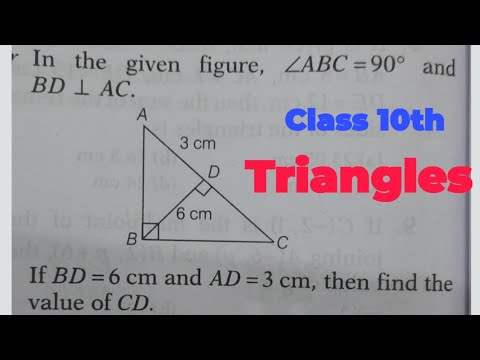 Triangles Class 10th maths Board Exams Preparation - YouTube