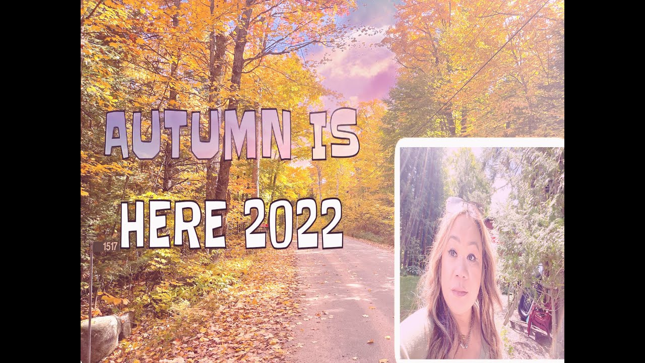 Part 2 COTTAGE WEEKEND | FALL 2022 | AUTUM IS HERE🍁🍂UPNORTH || AMAZING ...