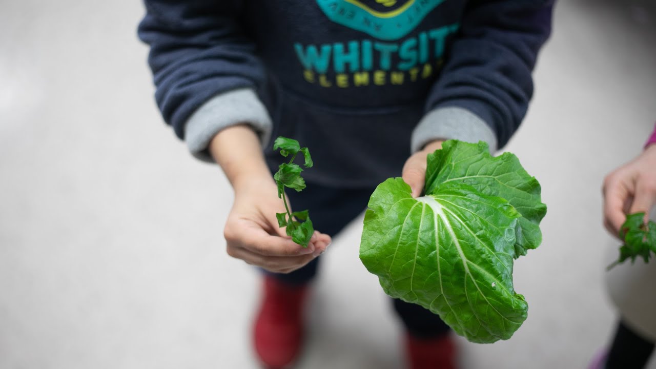 Whitsitt Environmental Engineering STEAM Elementary School - Metro ...