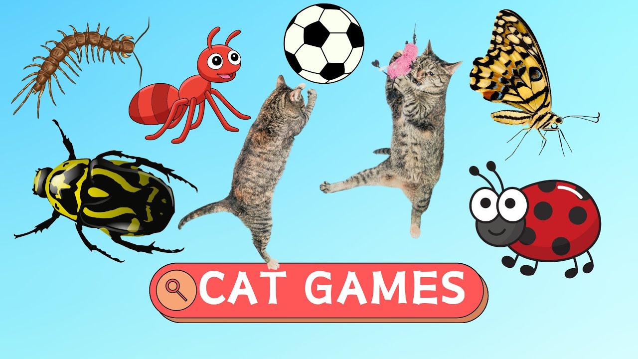Cat Games - Fun Video Games For Cats - Your Cat Will Love It | CatTV ...