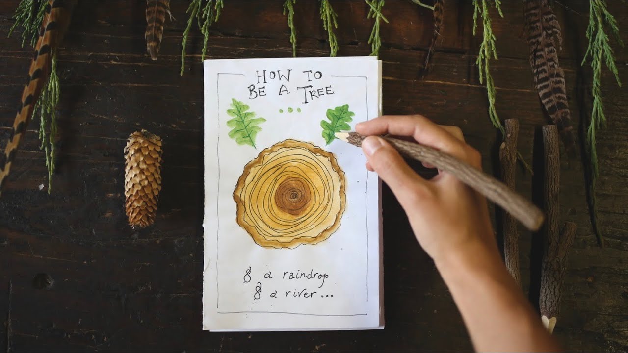 How to Be Like a Tree 🌲 // Real Life Fables - YouTube