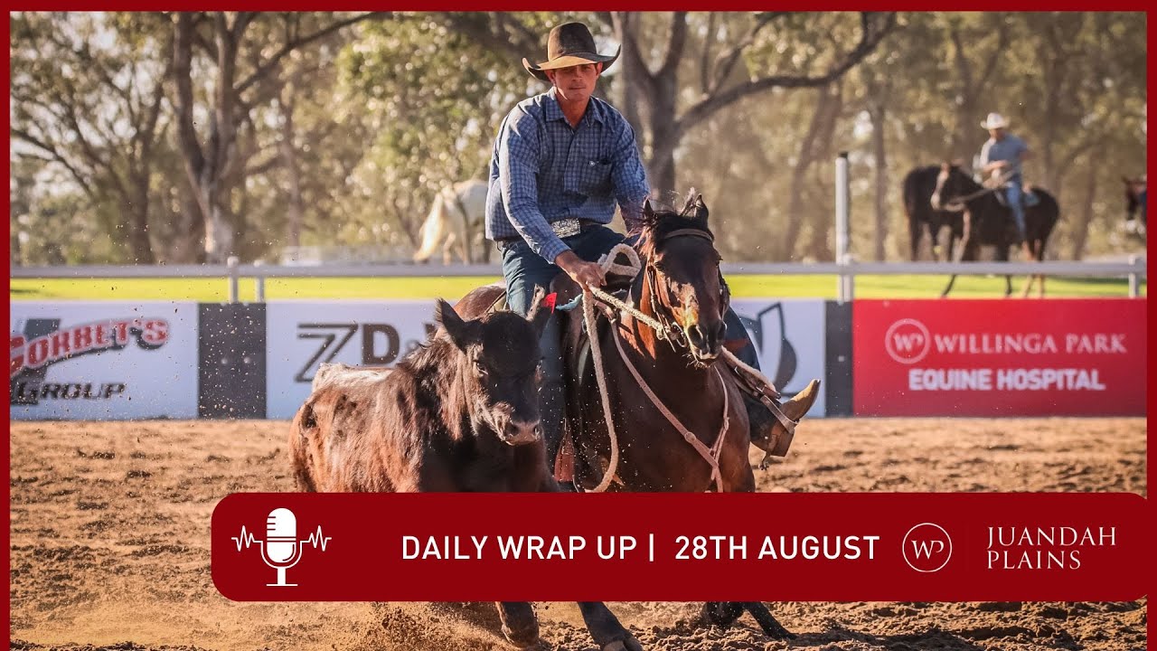 WJP Daily Wrap Up Show | Willinga at Juandah Plains Campdraft ...