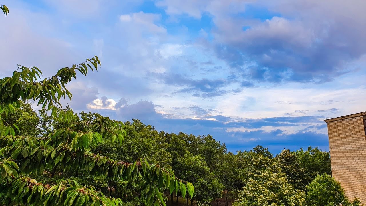 The Wind In The Trees ( Relaxing Natural Sound Of Wind ) - YouTube