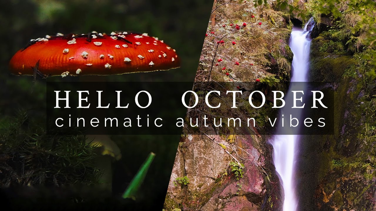 hello October! | Autumn cinematic video | Fujifilm X-T3 + Canon EOS M50 ...