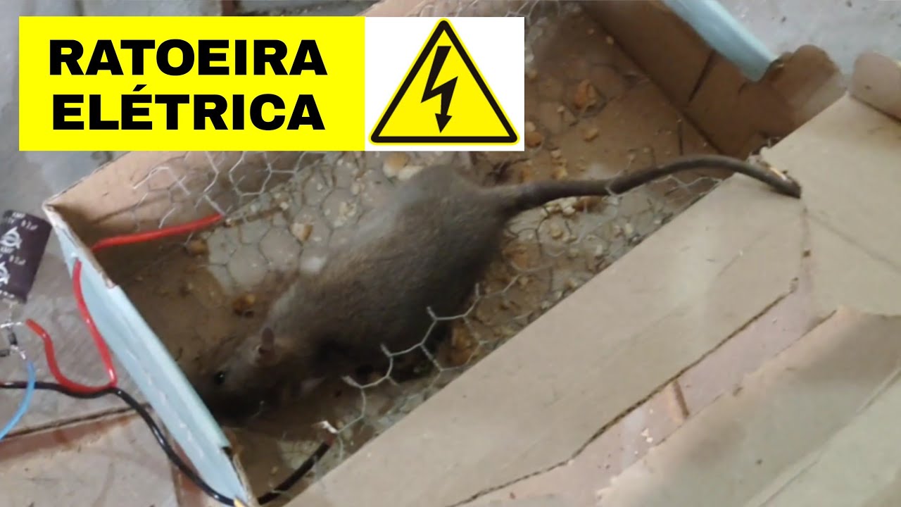 Ratoeira Elétrica caseira armadilha para rato - YouTube