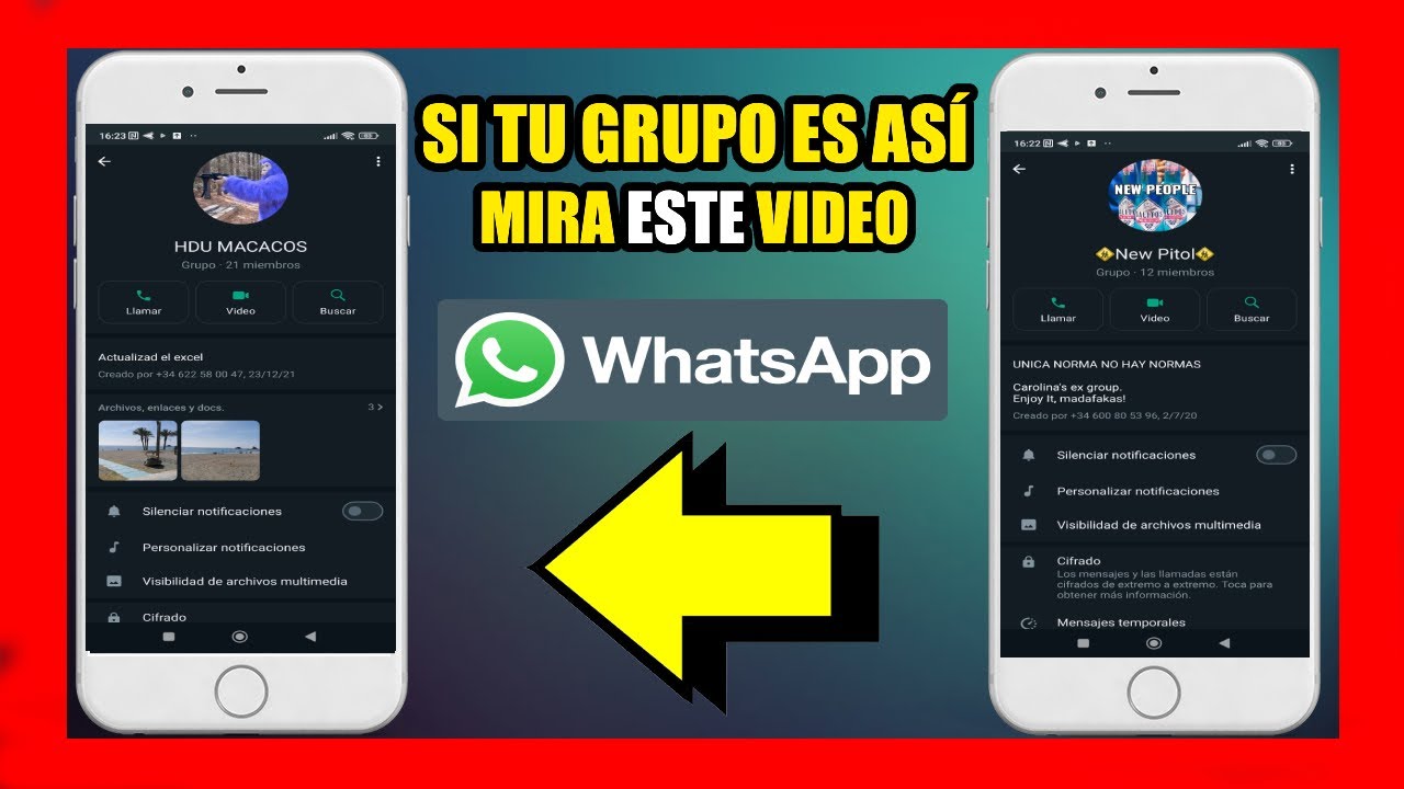 como ACTIVAR el CHAT de AUDIO en WHATSAPP - YouTube