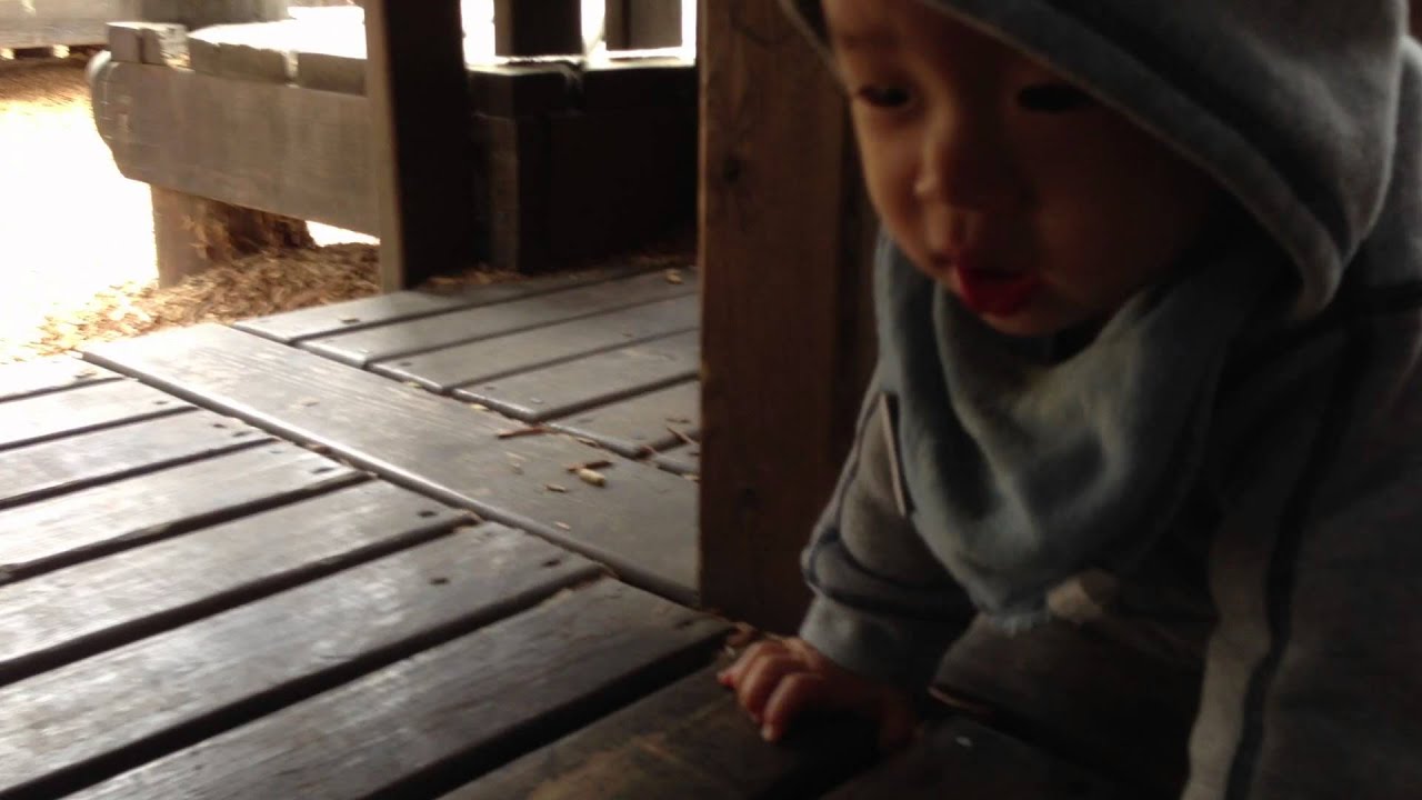 Baby Crawl Space - YouTube