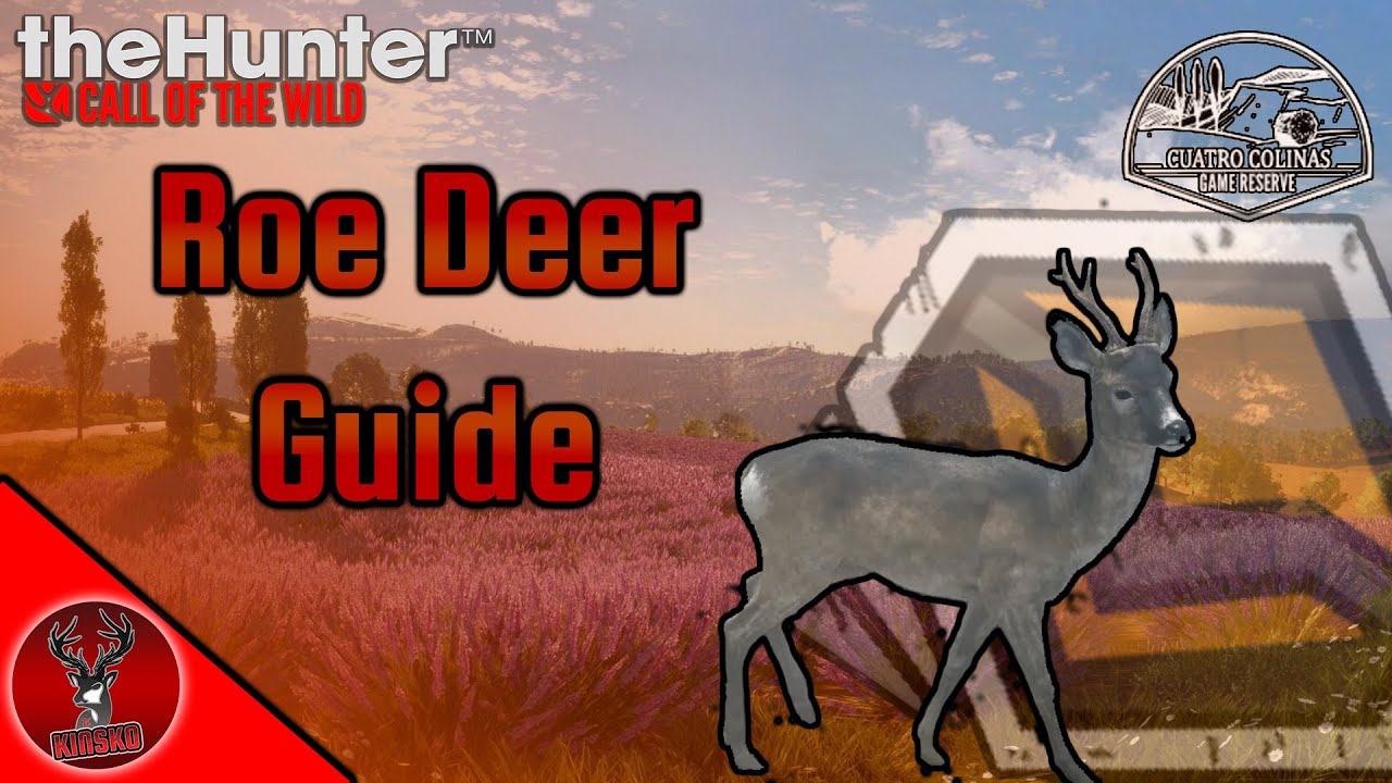 Roe Deer Guide For Cuatro Colinas: Thehunter Call Of The Wild - YouTube