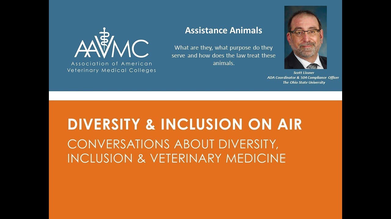 Diversity and Inclusion on Air: Assistance Animals - YouTube