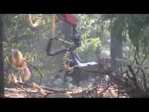 Dangle head logging - YouTube