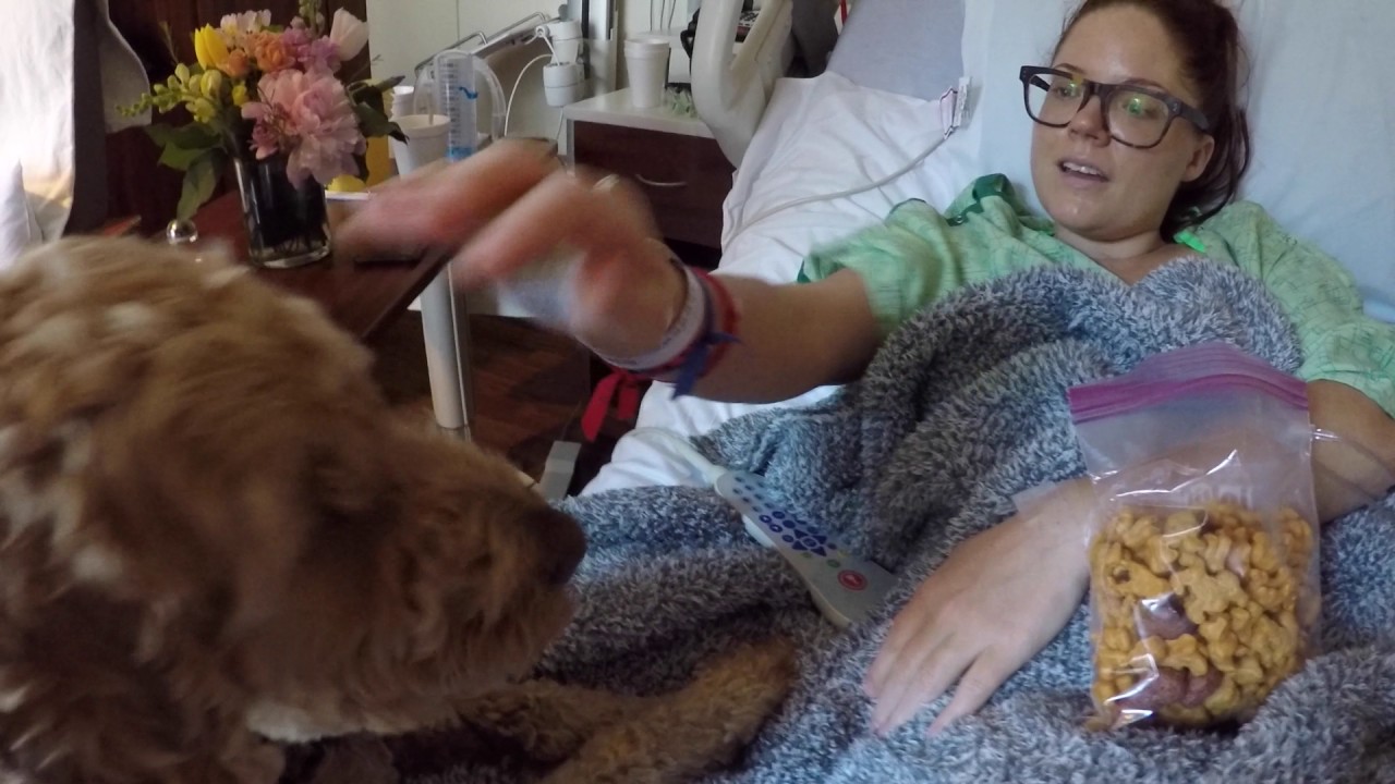 Archie the Dog Visits Kate! - YouTube