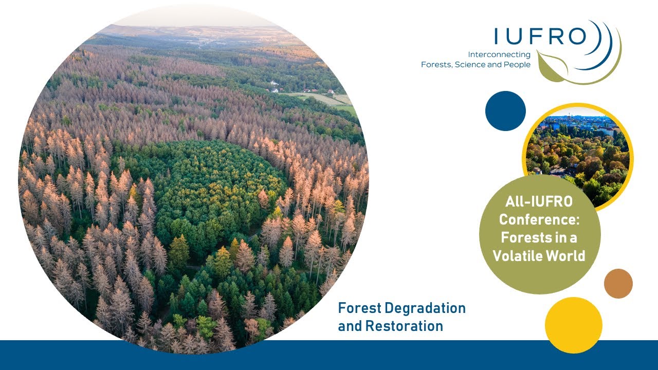 Forest Degradation and Restoration - YouTube