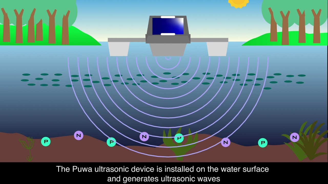 PUWA.fi ultrasonic algae control - YouTube
