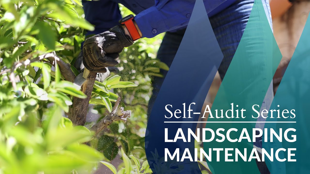 Self-Audit Series: Landscaping Maintenance - YouTube