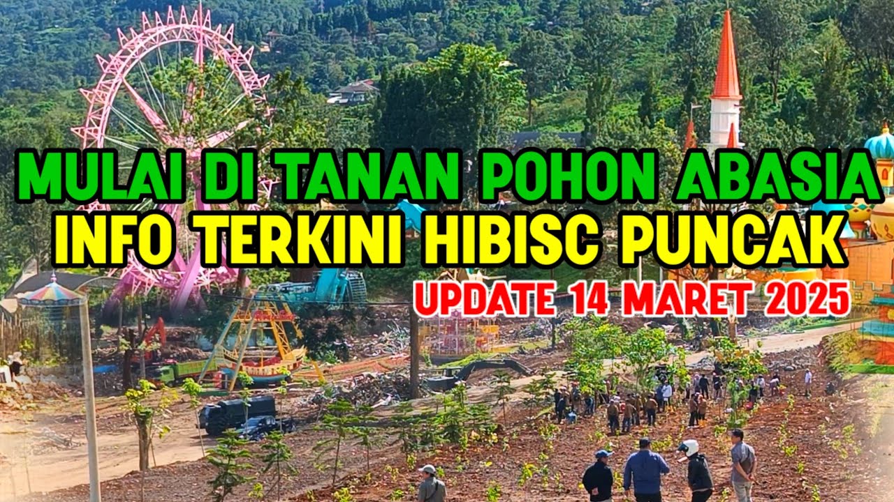 HIBISC PUNCAK KEMBALI DI TANAM POHON DAMAR DAN AKASIA TARGET SAMPAI TGL ...