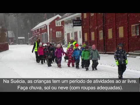 UM DIA COMUM NEVANDO | SUÉCIA - Priscila Mello