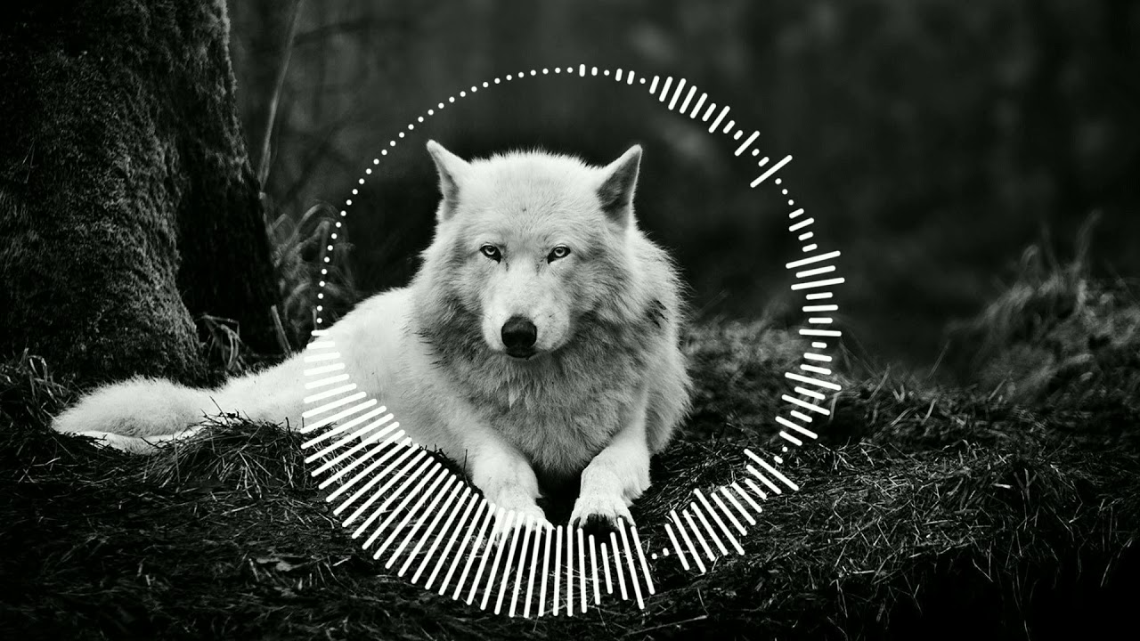 Uncle Lucius - Keep The Wolves Away (Slowed&Reverb) - YouTube