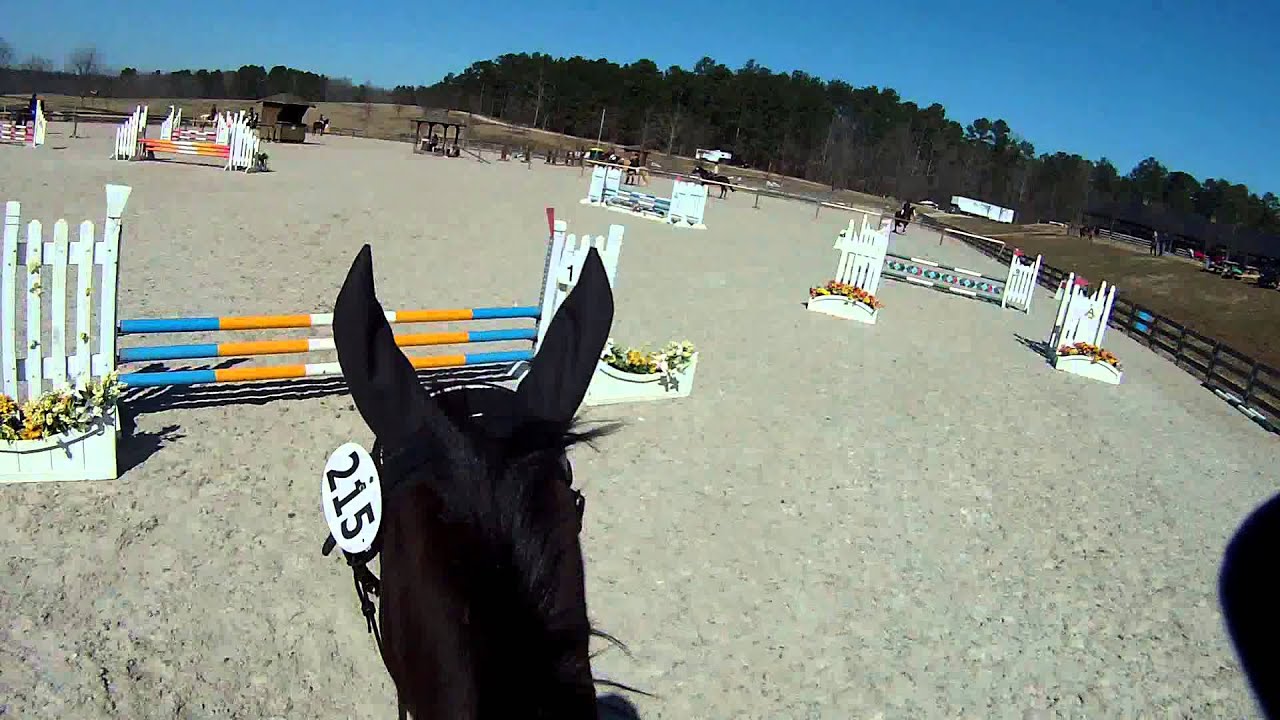 Beginner Novice Show Jumping Helmet Cam - YouTube