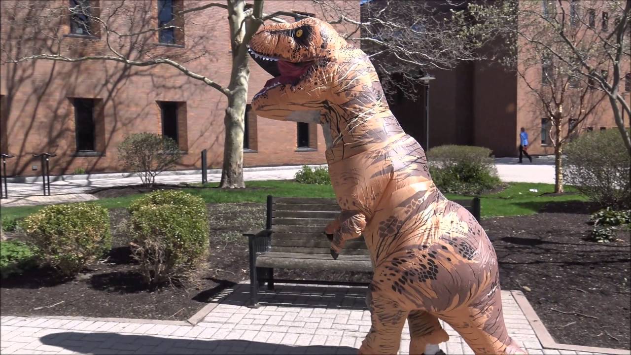 Tora-Con 2016 - Walk the Dinosaur - YouTube