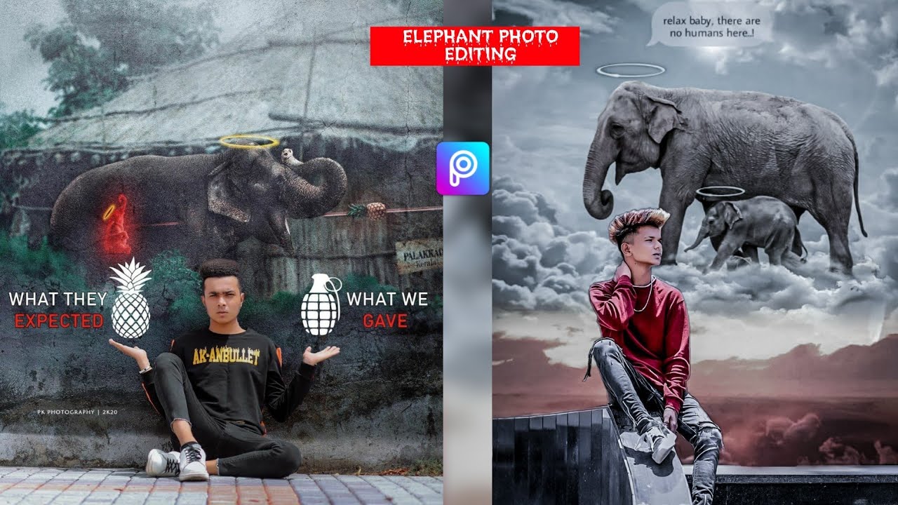 PicsArt Ashamedas Human concept/PicsArt sabe elephant save animal photo ...