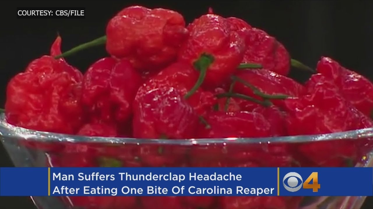 Like Spicy Food? Here's What Happens To Your Brain When You Eat The ...