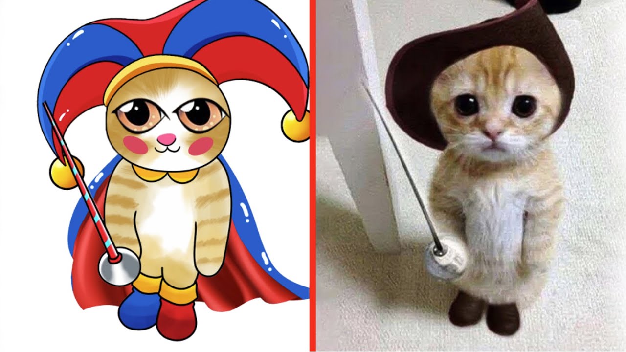 Cat Memes: EL GATO 😂 - YouTube