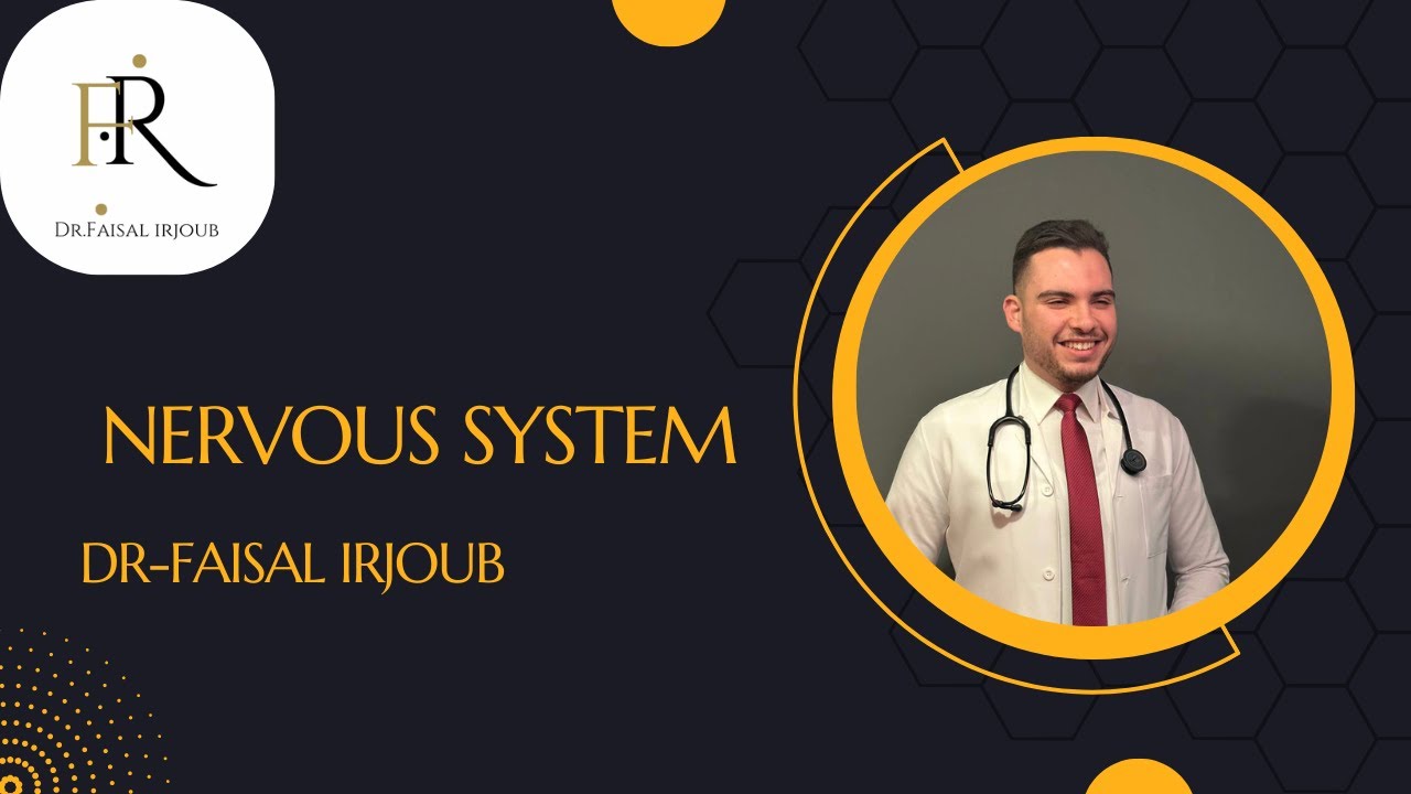 Tactile Receptors | Messner corpuscle | Pacini corpuscle | Free nerve ...