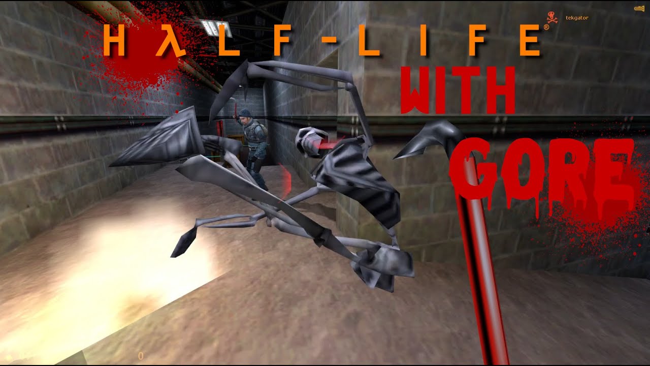 Half-Life Coop with GORE - YouTube