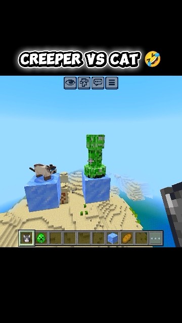 Creeper Vs Cat 🐈 #minecraft #isurvived100daysminecraftinhindi - YouTube