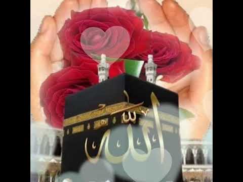 🌿¨¨˜”°º★ღ🌿🌺﷽ 🌿🌺  🕋🤲ﷲAMÎÎÎÎÎN YA RABBEL ALEMÎÎÎÎNﷲ🤲🕋