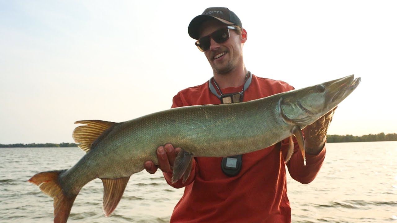 TOP WATER MUSKY!!! | The Truth About Musky Fishing - YouTube