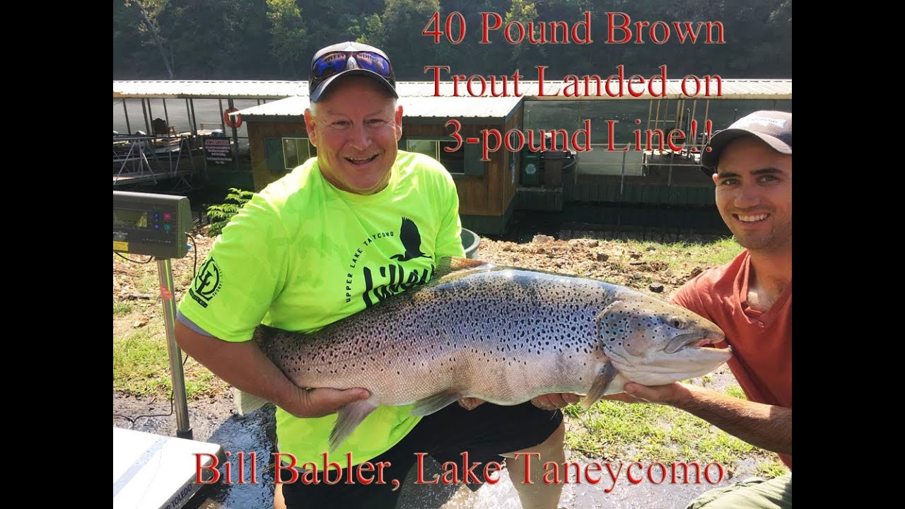 Huge Brown Trout Caught - 40 Pounds, 6 Ounces - YouTube