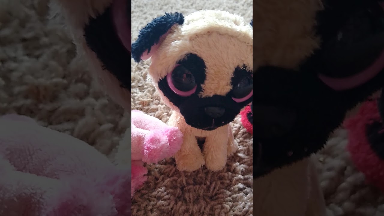 Beanie Boo storage and Solid eyed beanies - YouTube