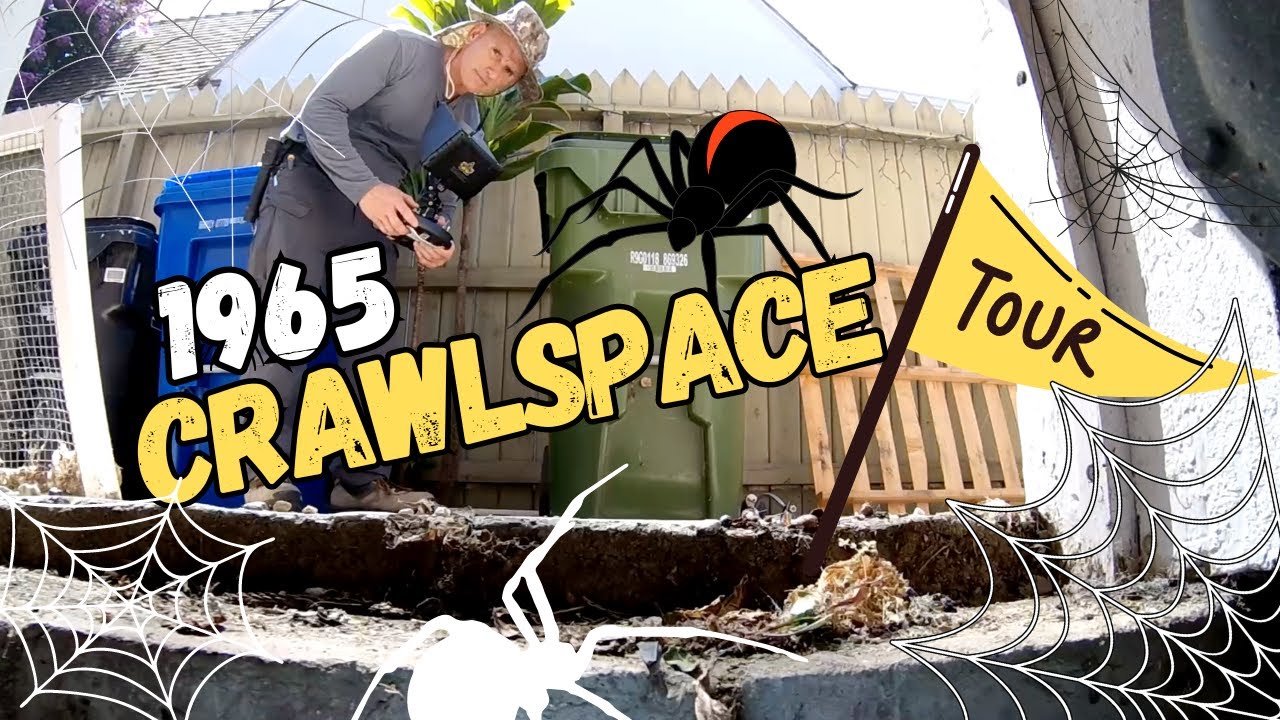 Crawlspace Nightmare | Whats In Your Crawlspace? | Home Inspection ...