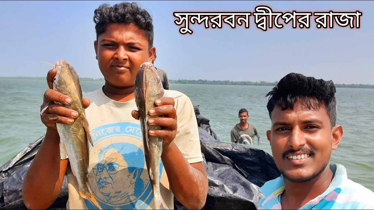 বড় নদীর গাগড়া টেংরা | Gagra tangra | @mysterioussundarban - YouTube