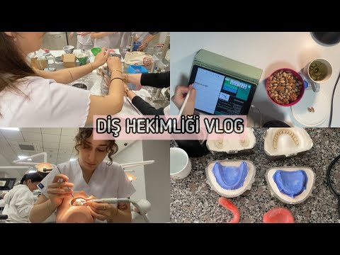 VLOG| diş hekimliği fakültesi