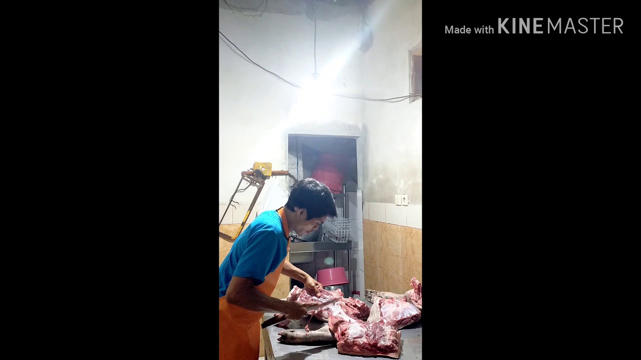 Proses potong babi yg bersih dn hygienis - YouTube
