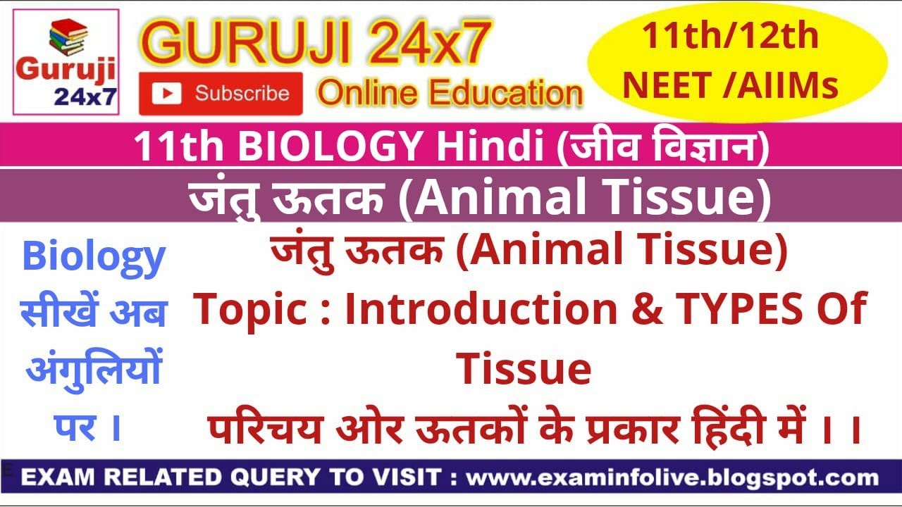 neet biology animaltissue Animal Tissue Introduction Types Of neet-biology-animaltissue-animal-tissue-introduction-types-of