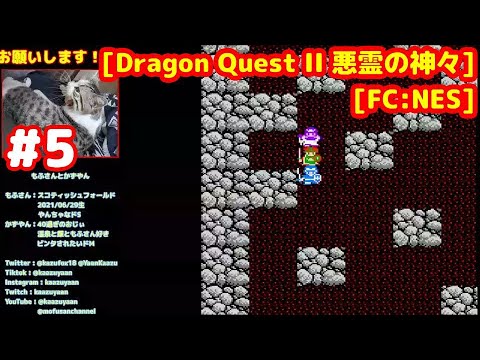 #5 ロンダルギアまで絶対にいく！ [ドラゴンクエストII悪霊の神々][DQ2][FC:NES][Retro:レトロゲーム] - YouTube
