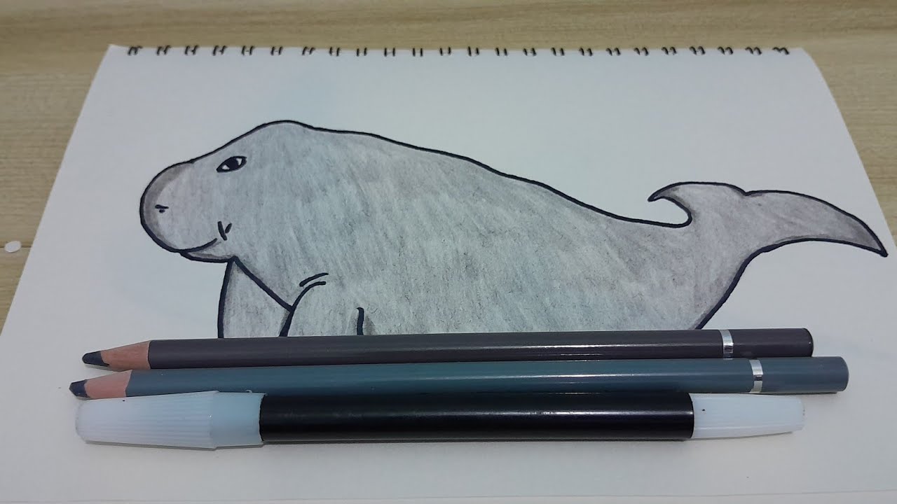 CARA MENGGAMBAR DUGONG | DRAWING DUGONG #caramenggambarhewan #dugong ...