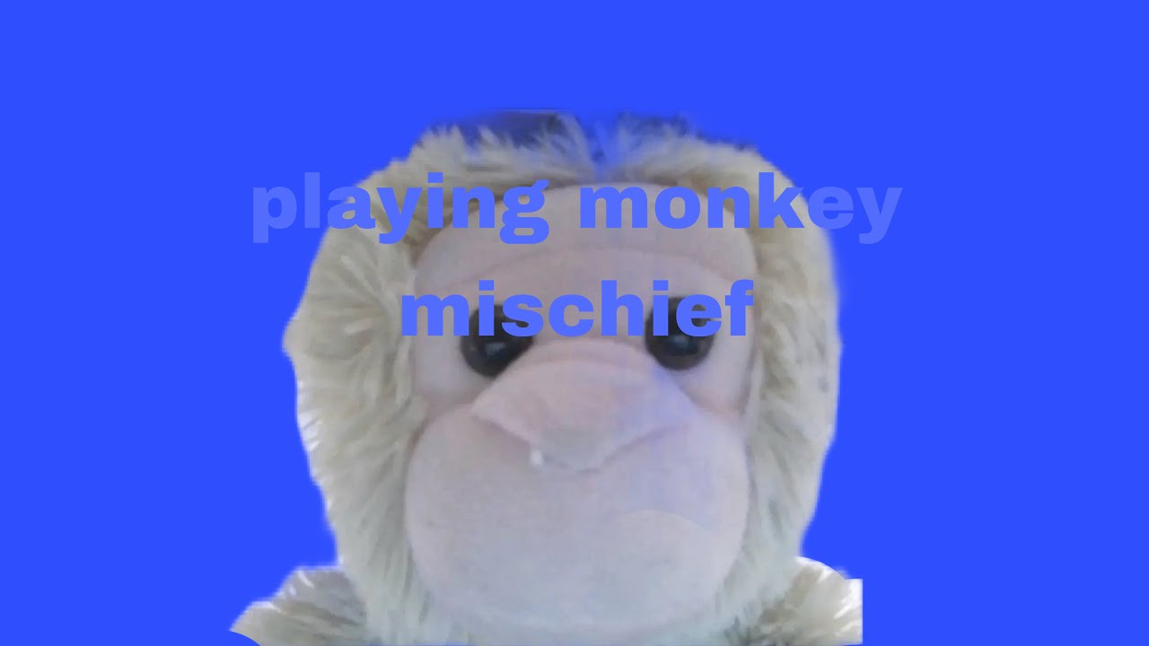 Playing monkey mischief - YouTube