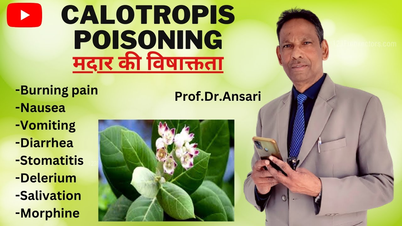Calotropis poisoning | Burning pain | Nausea | Vomiting | Stomatitis ...