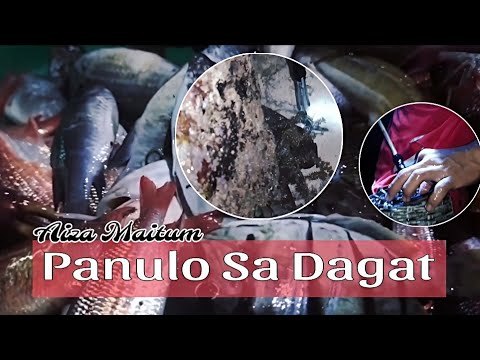 Panulo sa Dagat | @aima07 - YouTube