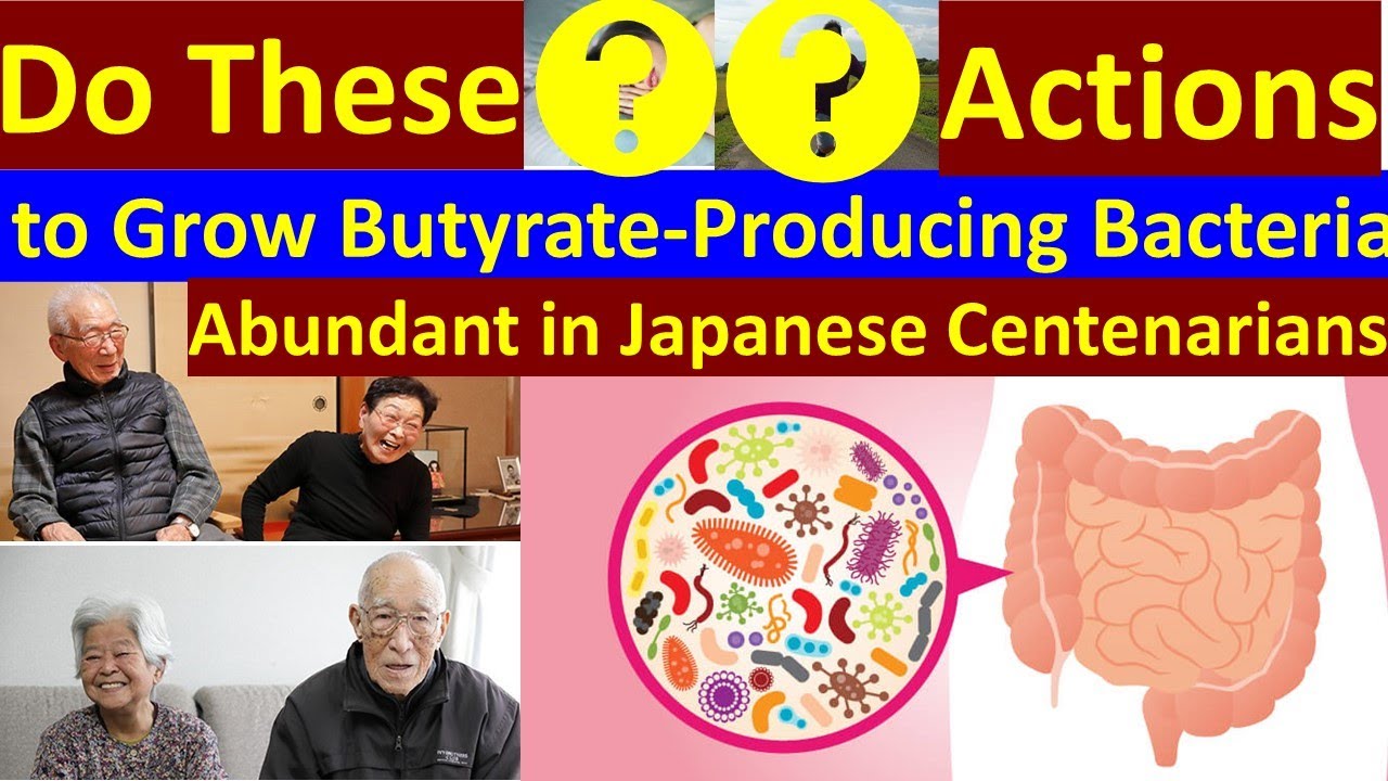 How to Increase the Longevity Bacteria Found in Japanese Centenarians ...