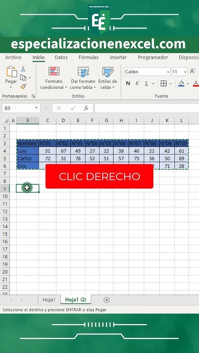 Cómo transponer datos de horizontal a vertical en Excel - YouTube