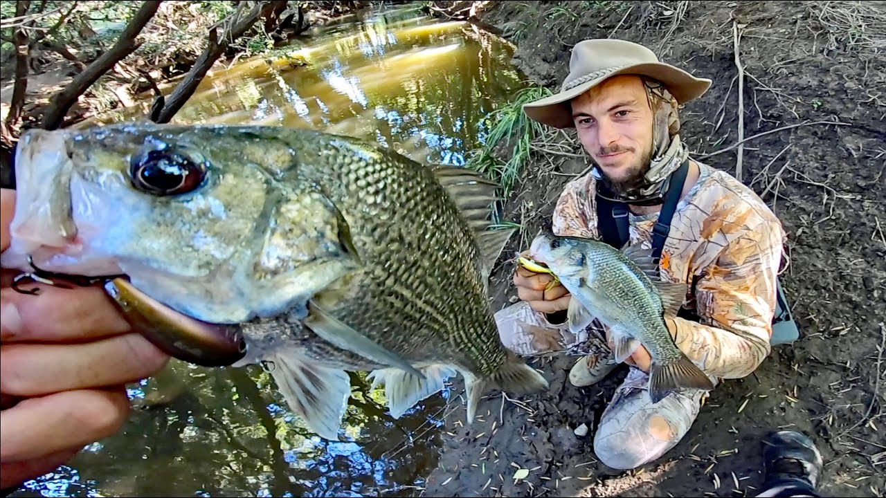 BASS FISHING BEATDOWN. - YouTube